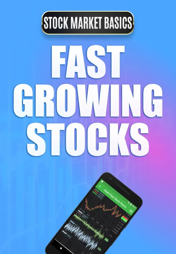 Fast Growing Stocks? | Stock Market Basics