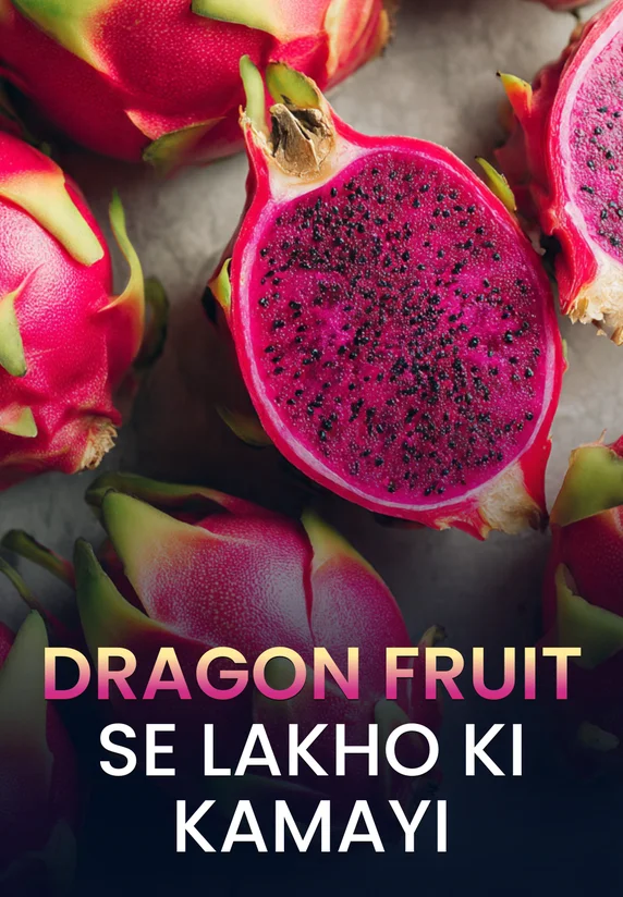 Dragon Fruit Se Lakho Ki Kamayi | Indian Desi Business
