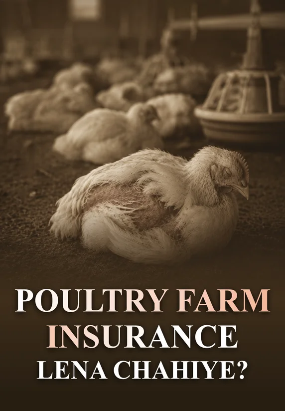 Poultry Farm Insurance Lena Chahiye? | Pashu Palan Business